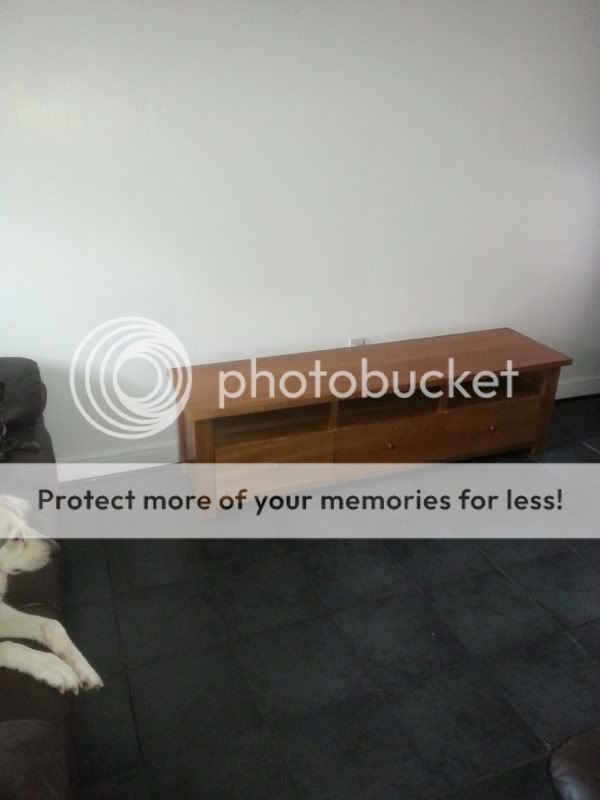 NW England - Viv stand | Reptile Forums