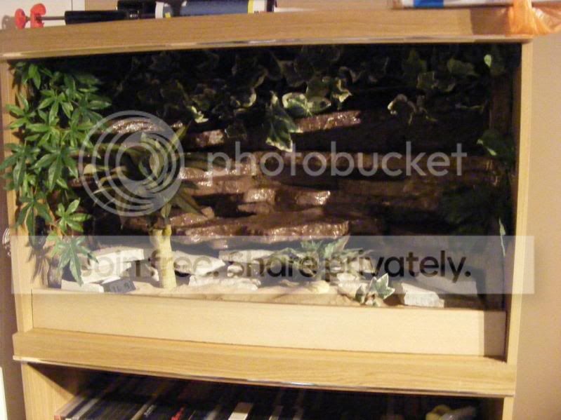 new BIG leopard gecko viv build | Reptile Forums