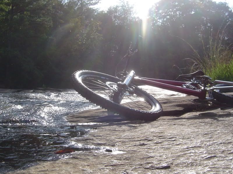 You have an update available | Mountain Bike Reviews Forum