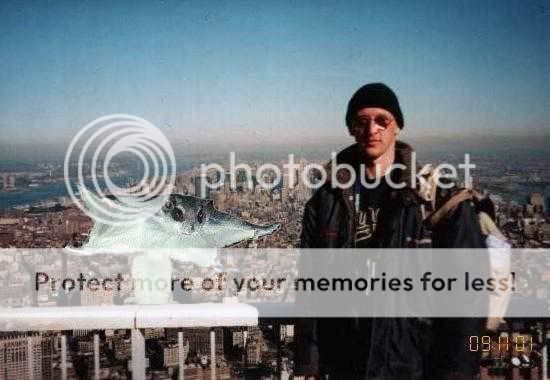 FARK.com: (3208637) Squirrel Olympics begin with 300-yard crawl by cute ...