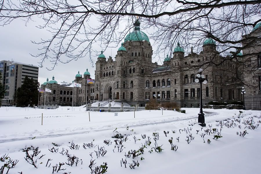 Victoria BC Snow Day! - FM Forums