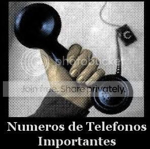 ESTOS NÚMEROS PUEDEN SER MARCADOS DIRECTAMENTE NO NECESITAS DE NINGUNA ...
