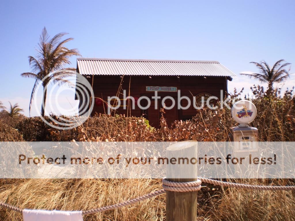 Pics of Castaway Cay after Hurricane Sandy | The DIS Disney Discussion ...
