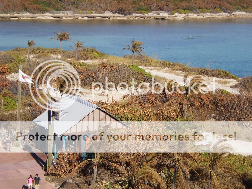 Pics of Castaway Cay after Hurricane Sandy | The DIS Disney Discussion ...