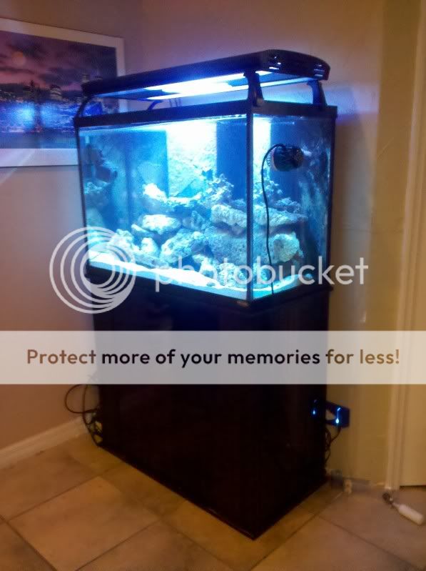 70 gallon Oceanic Tech Tank Setup - Reef Central Online Community