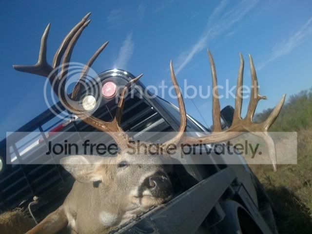 Management on smaller acreage? - Texas Hunting Forum