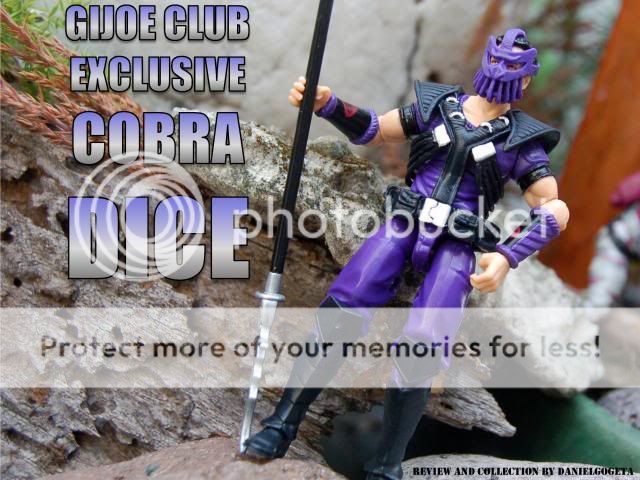 Gijoe Club Exclusive Dice Review! - HissTank.com