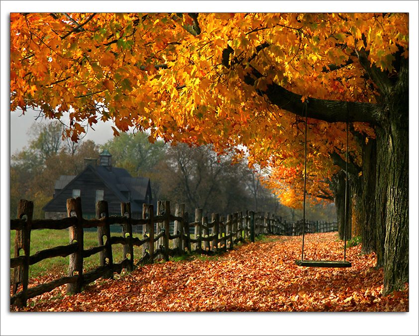 Photograph of the Day: Autumn Swing – Lingua Franca