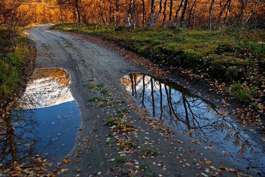 Photograph of the Day: Beauty in Puddles – Lingua Franca