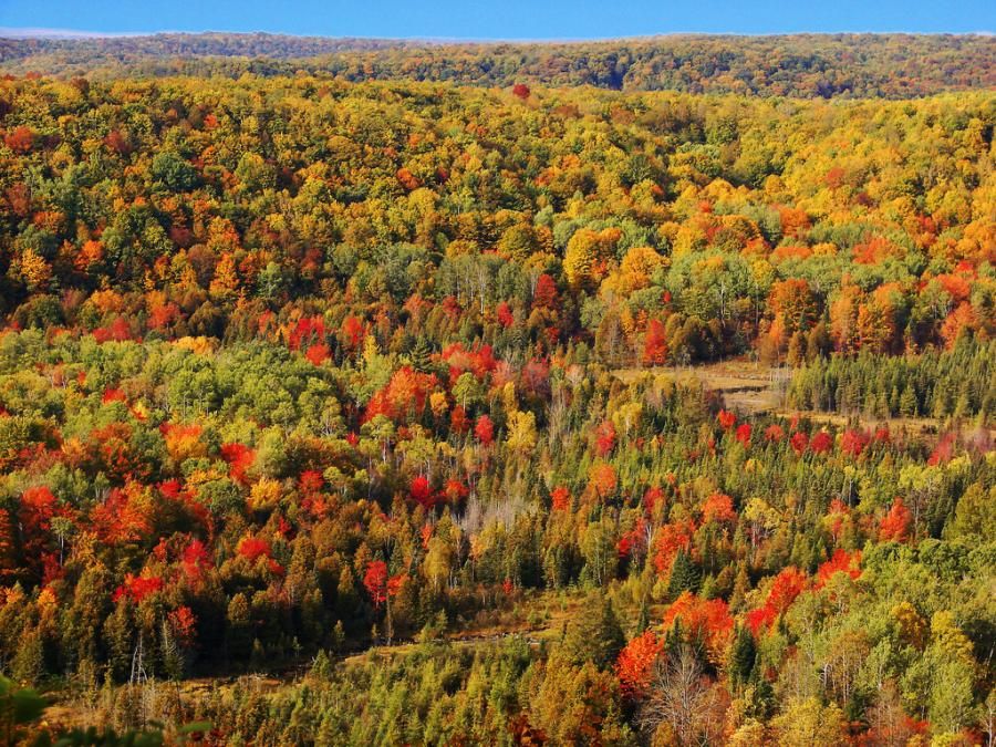 Photograph of the Day: Michigan Autumn – Lingua Franca