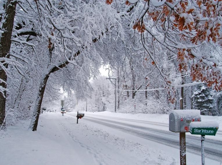 Photograph of the Day: Snowstorm – Lingua Franca