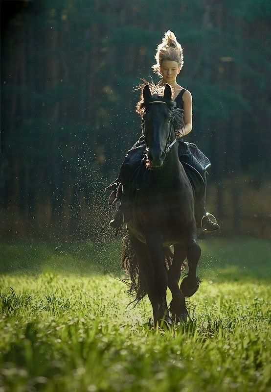 Photograph: The Black Stallion – Lingua Franca