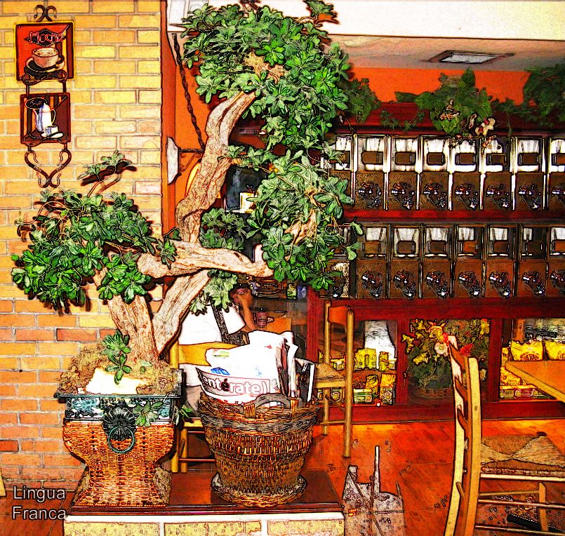 The Beauty of a Bonsai Tree – Lingua Franca