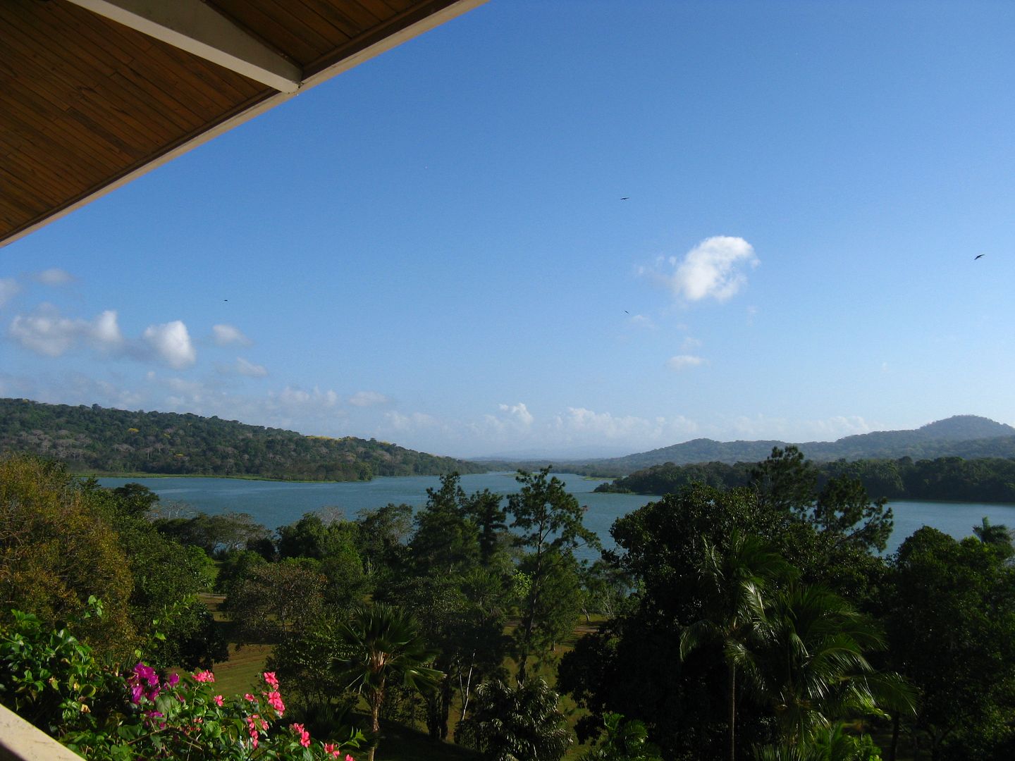 The Mighty Chagres River – Lingua Franca