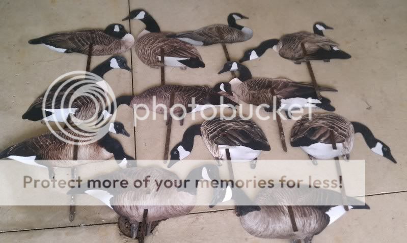 For Sale - 12 Outlaw Goose Silo Decoys | Ohio Waterfowler Forums