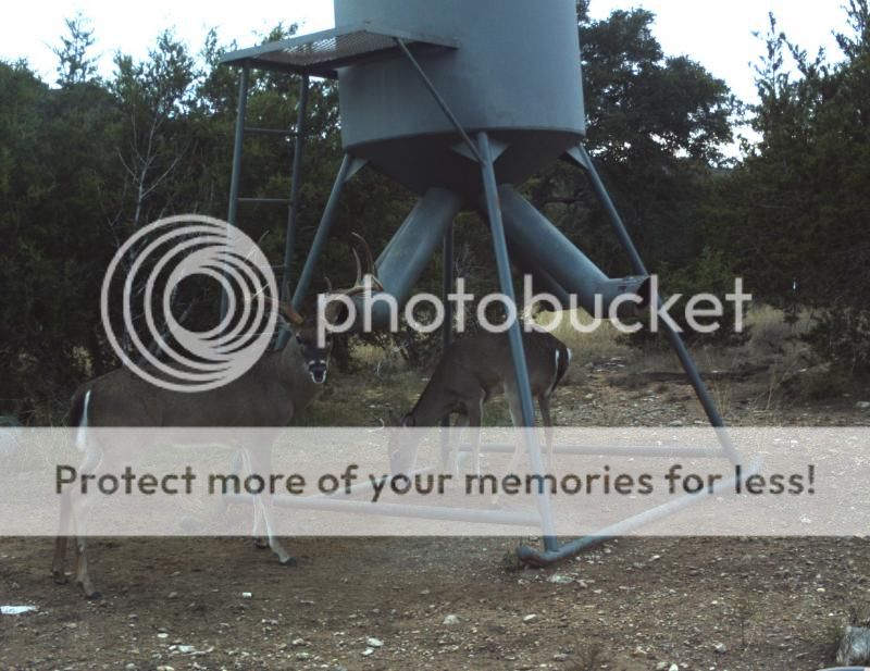 Age and Score - TexasBowhunter.com Community Discussion Forums