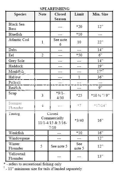 Spearfishing is legel in MA? - Massachusetts Fishing - SurfTalk